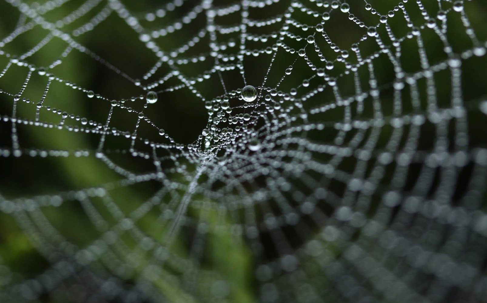 Extended Evolutionary Synthesis An Integrative Research Program