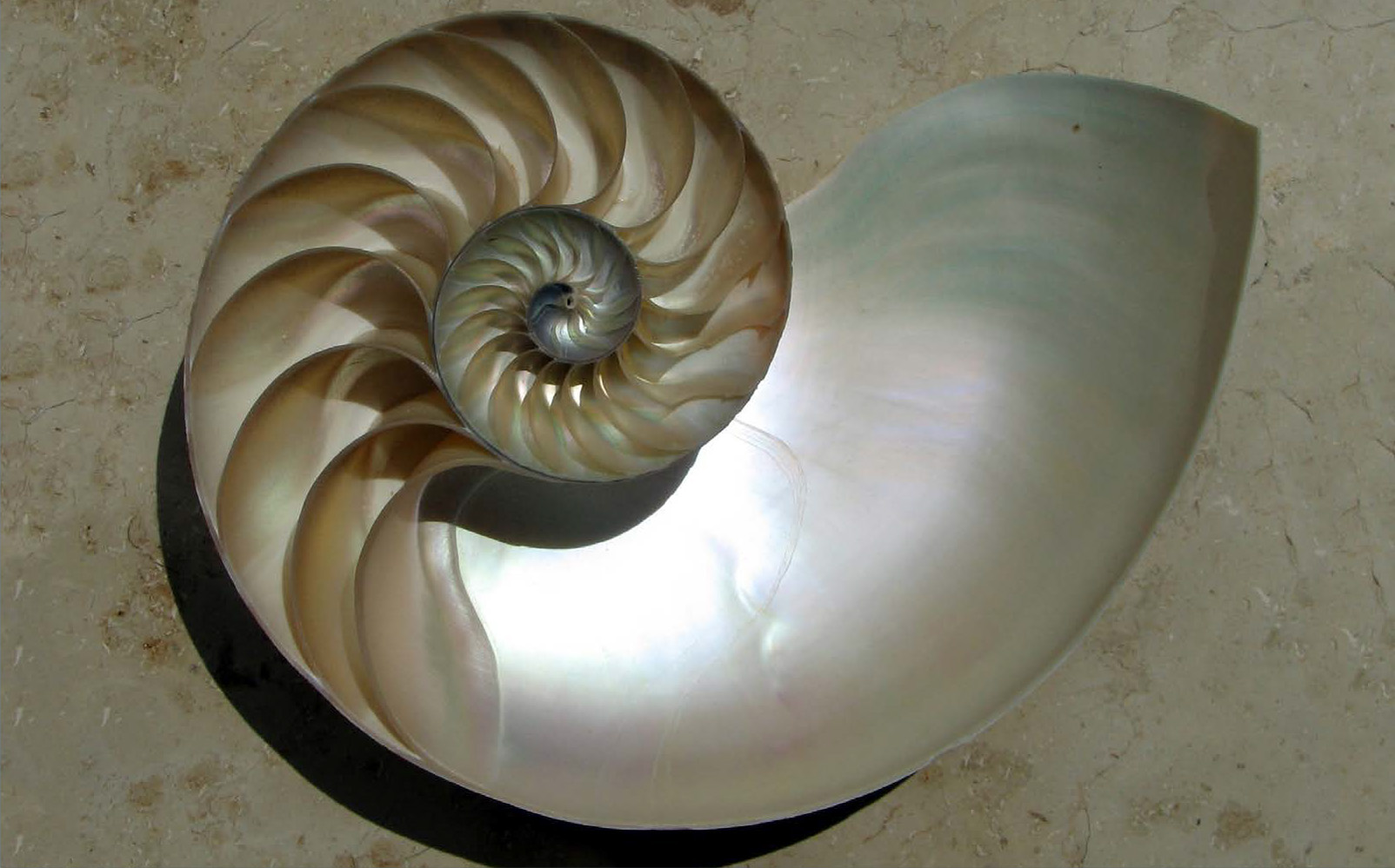 Extended Evolutionary Synthesis An Integrative Research Program