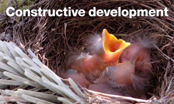 About the EES – Extended Evolutionary Synthesis