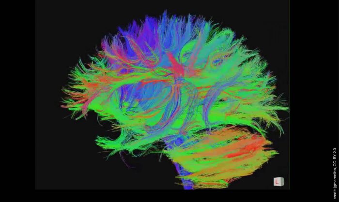 About the EES – Extended Evolutionary Synthesis
