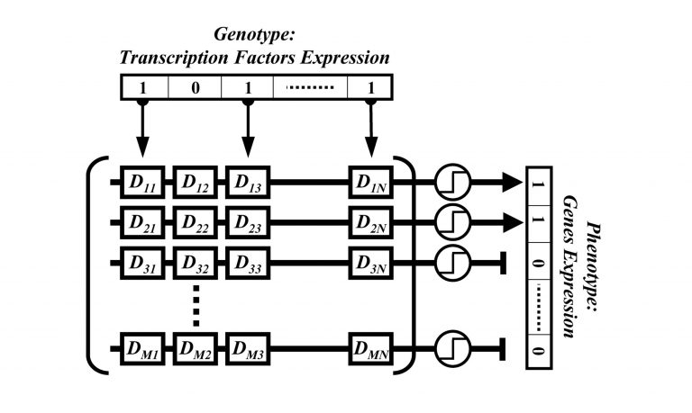 About the EES – Extended Evolutionary Synthesis