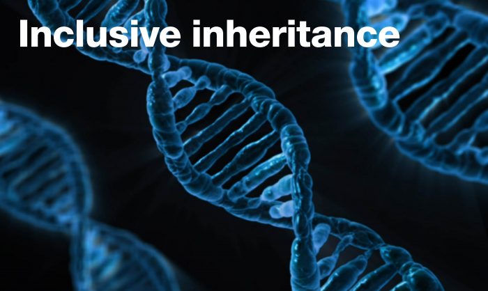 About the EES – Extended Evolutionary Synthesis