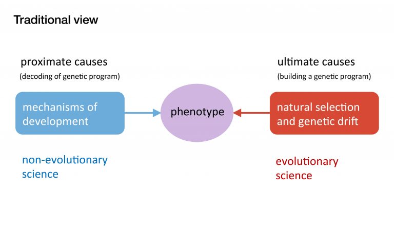 About the EES – Extended Evolutionary Synthesis