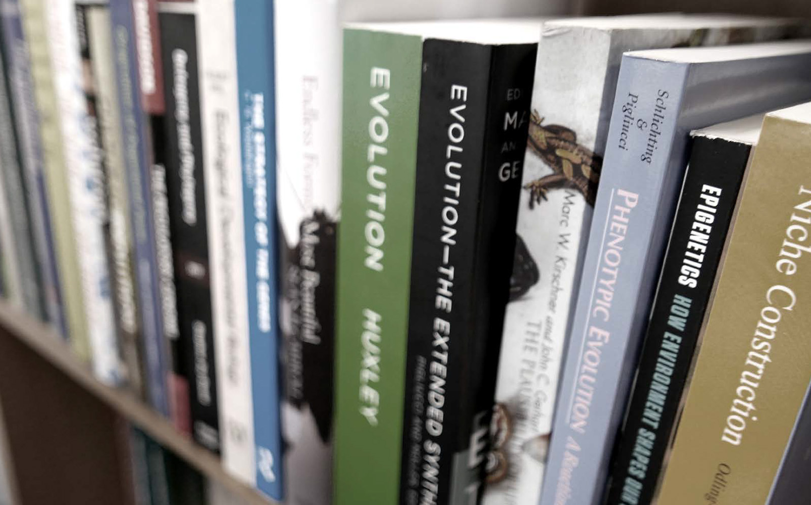 Extended Evolutionary Synthesis An Integrative Research Program