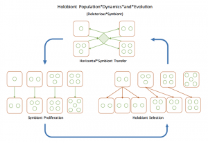 The holobiont as a unit of selection – Extended Evolutionary Synthesis