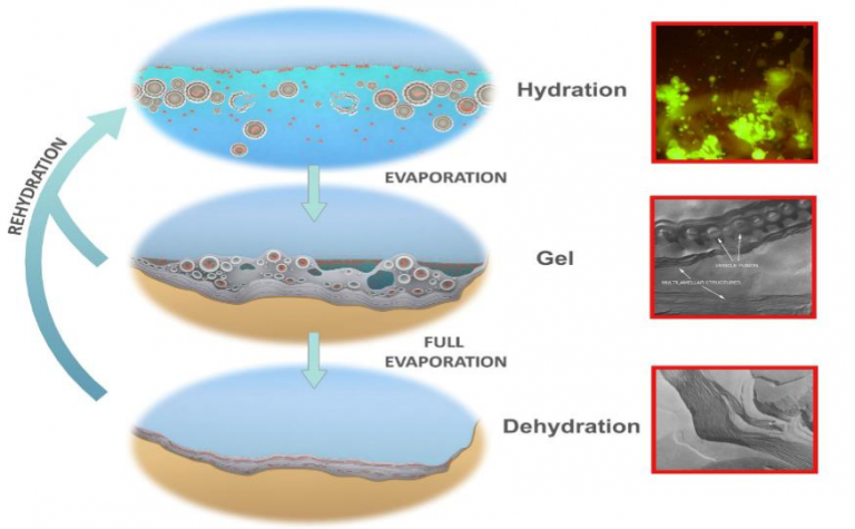 The Hot Spring Hypothesis for the Origin of Life and the Extended ...