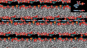 The Hot Spring Hypothesis for the Origin of Life and the Extended ...