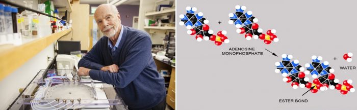 The Hot Spring Hypothesis for the Origin of Life and the Extended ...