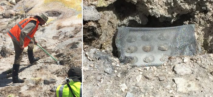 The Hot Spring Hypothesis for the Origin of Life and the Extended ...