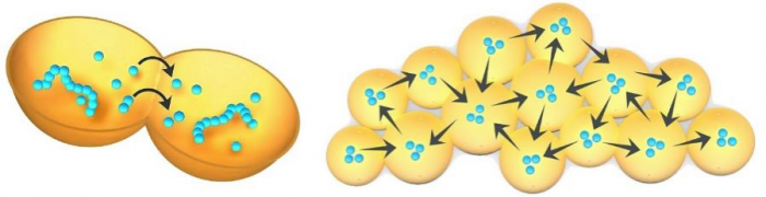 The Hot Spring Hypothesis for the Origin of Life and the Extended ...