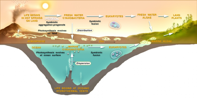 The Hot Spring Hypothesis for the Origin of Life and the Extended ...
