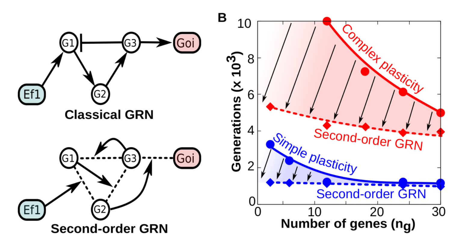 How to fit in: The learning principles of cell differentiation ...